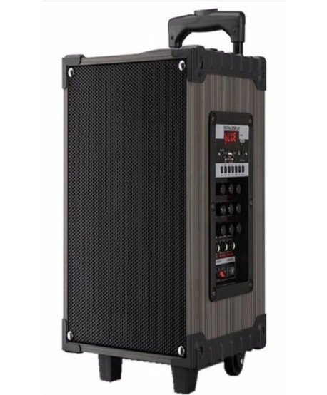 LT-908 Süper Bass Şarjlı Mikrofonlu Hoparlör Karaoke Sistemi 80 Watt ...